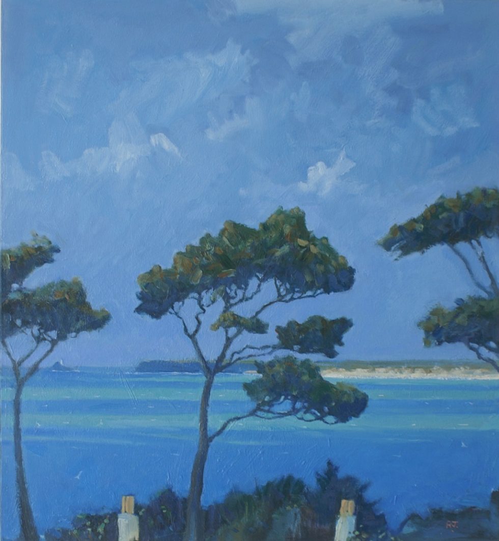 Pine Tree St Ives Bay - Robert Jones